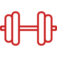 Peak Physique - Your Fitness Journey